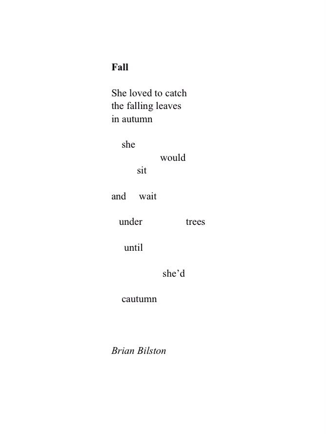 Fall – Brian Bilston